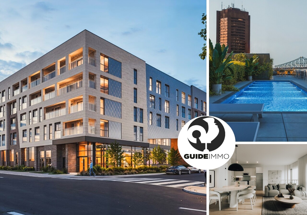 Edison Appartements : Appartement neuf à louer Montreal
